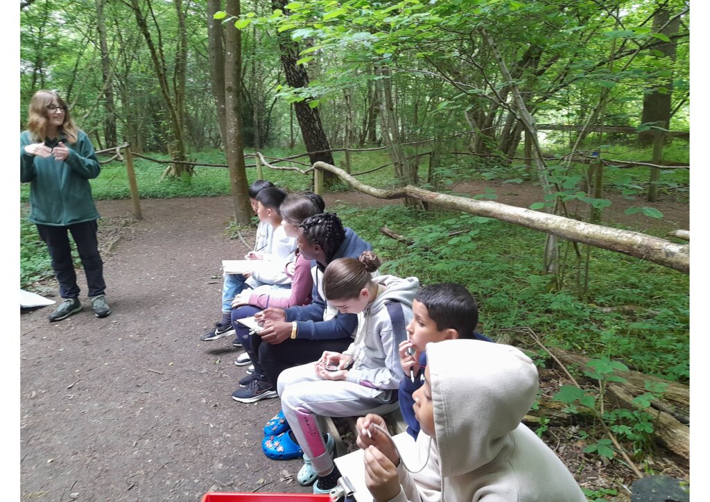 Gallery - Jessop Primary