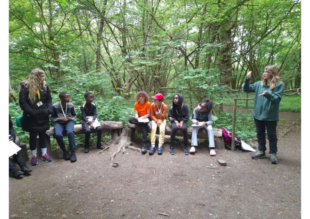 Gallery - Jessop Primary