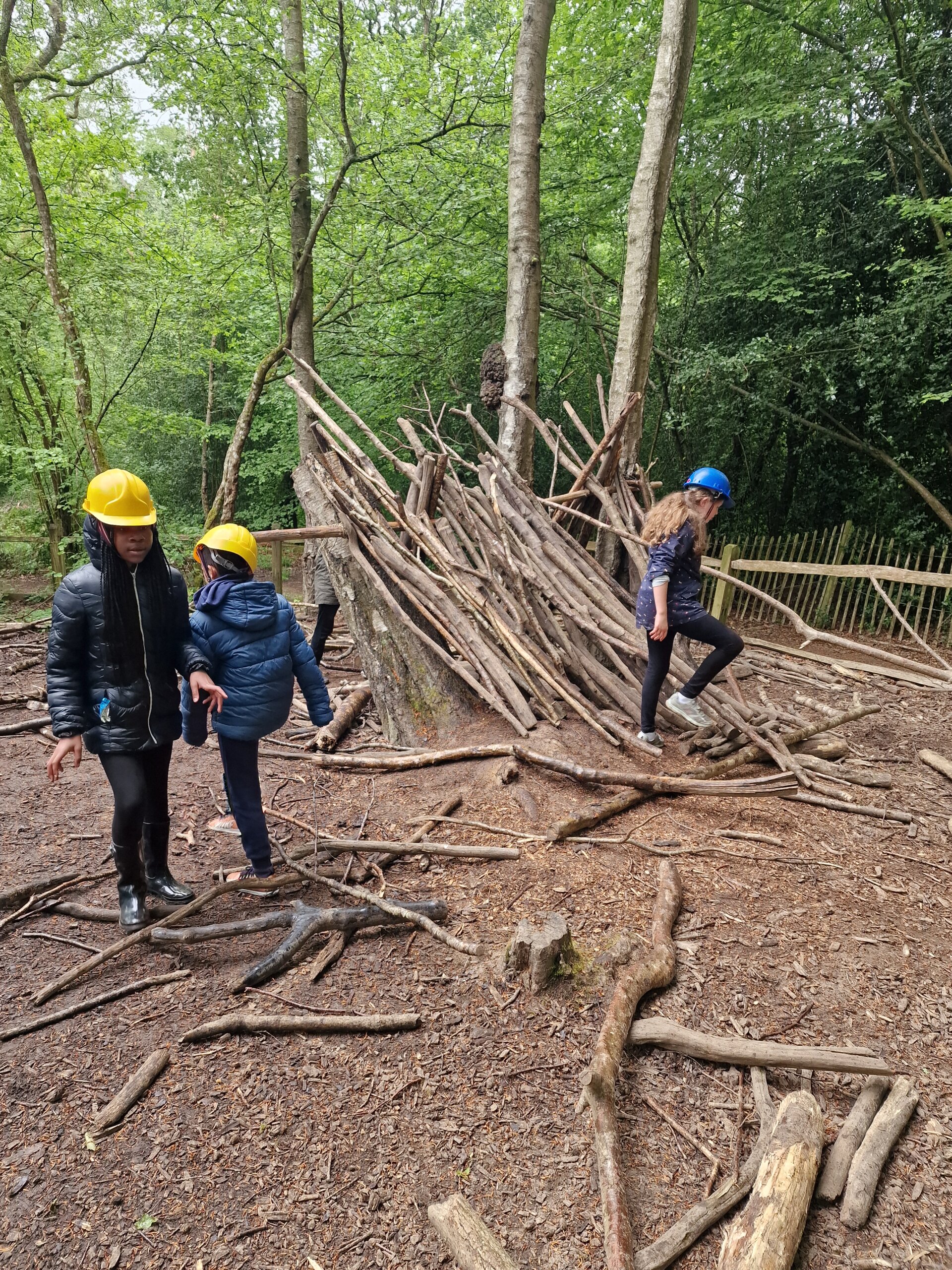 Gallery - Jessop Primary